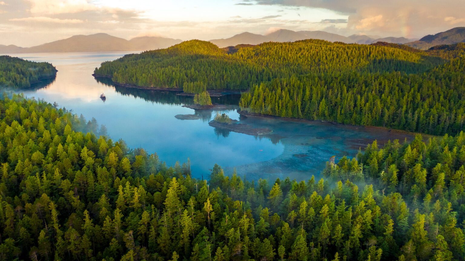 Great Bear Rainforest Tours | Maple Leaf Adventures