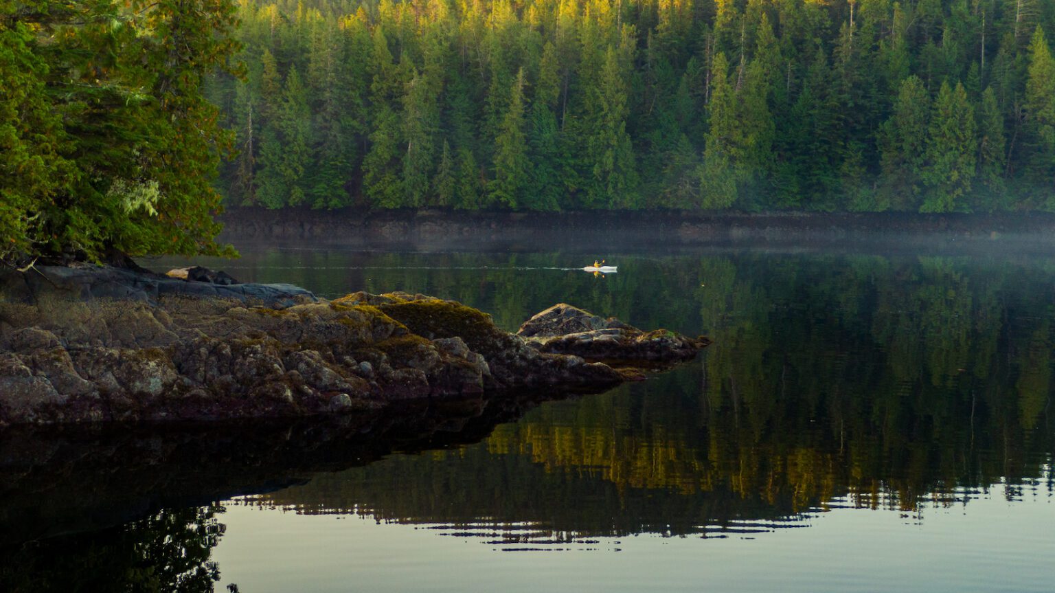 The Best Time to Cruise Alaska & BC? A Season Guide | Maple Leaf Adventures