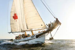 Expedition Cruises in Alaska and BC | Maple Leaf Adventures