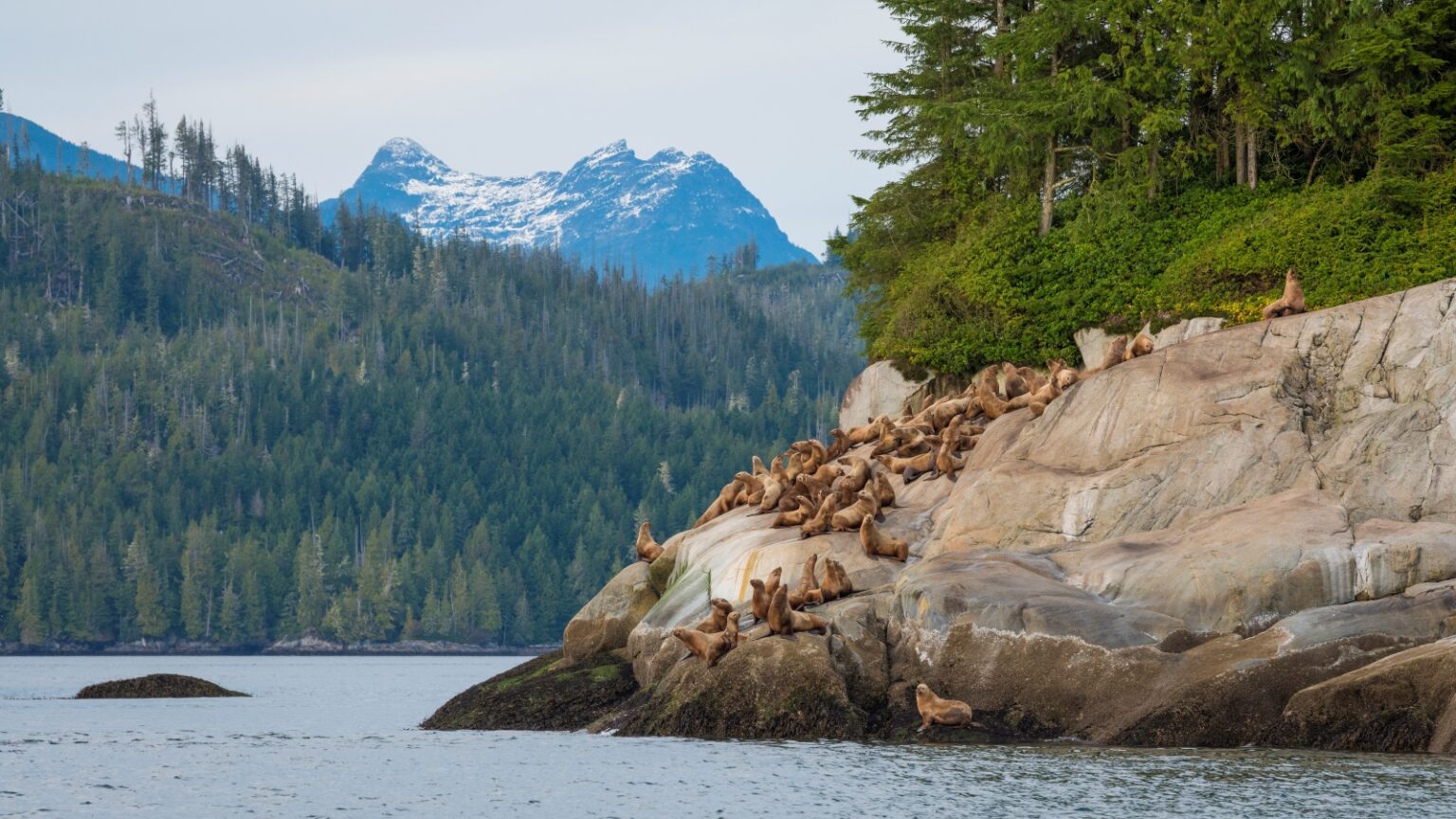 Canada Tours | Explore British Columbia with Maple Leaf Adventures