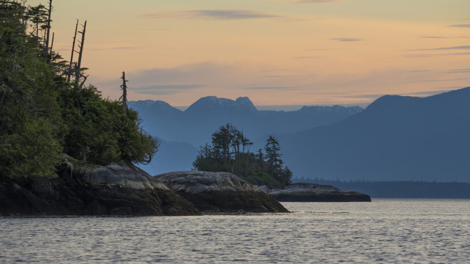 Desolation Sound Tours in Spring | Maple Leaf Adventures