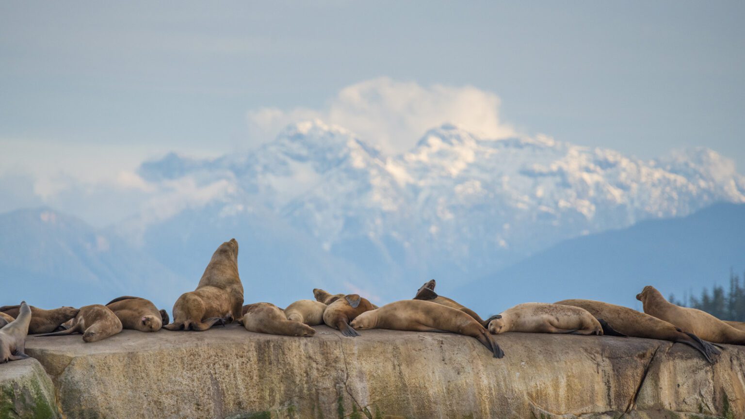 Desolation Sound and Fjords of BC Tour | Maple Leaf Adventures
