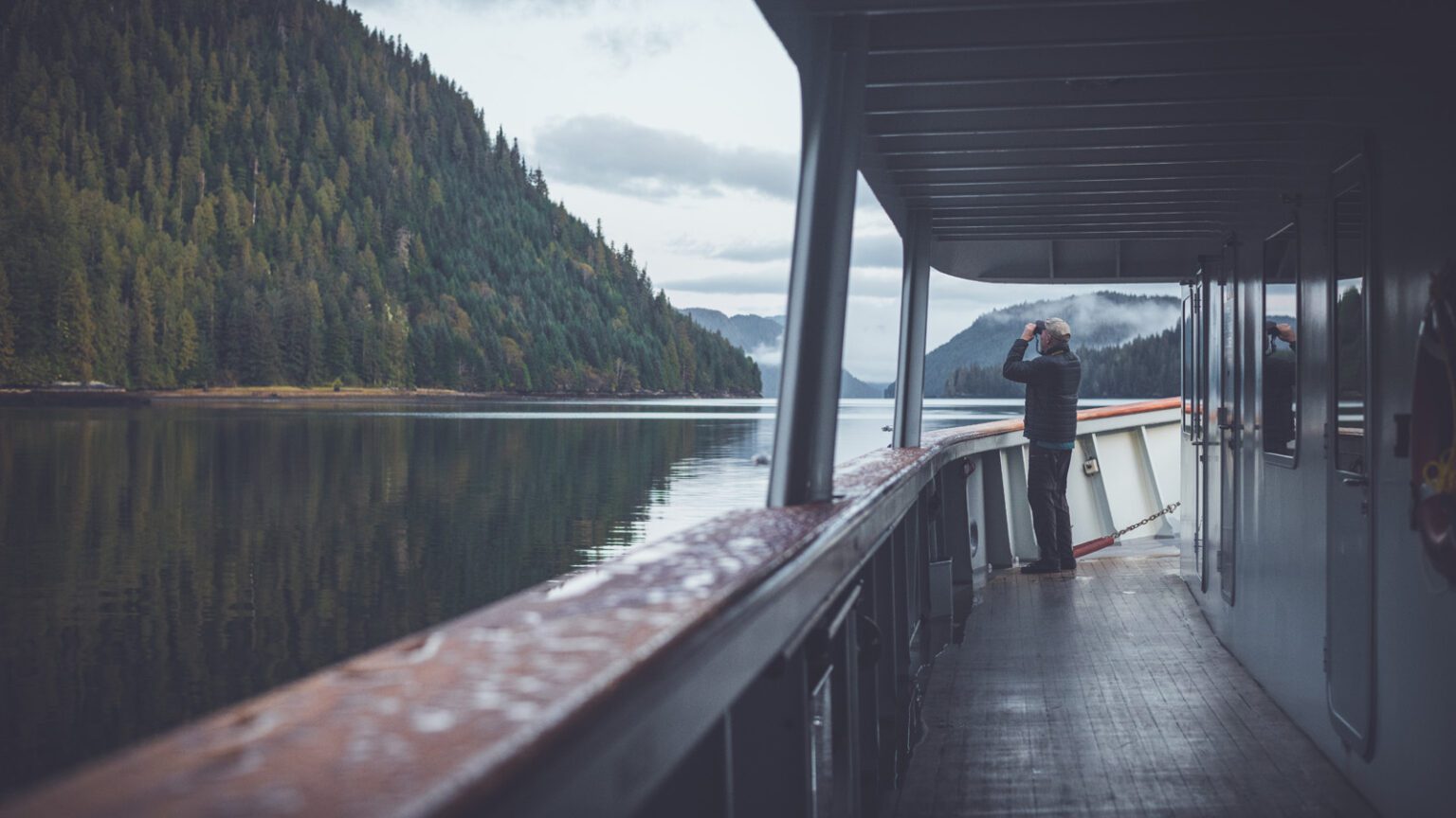 The Truth About Seeing Spirit Bears | Great Bear Rainforest | Maple ...