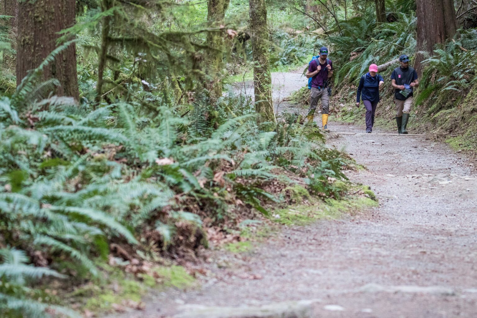 Vancouver Island's Inside Passage Tours | Maple Leaf Adventures