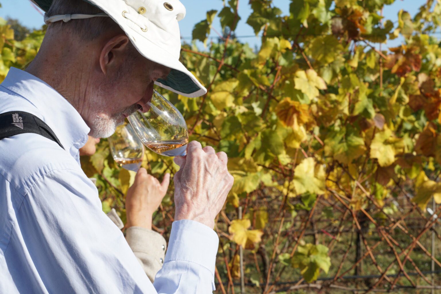 Six Must-Try Wineries in British Columbia: Explore Them All on a Wine ...