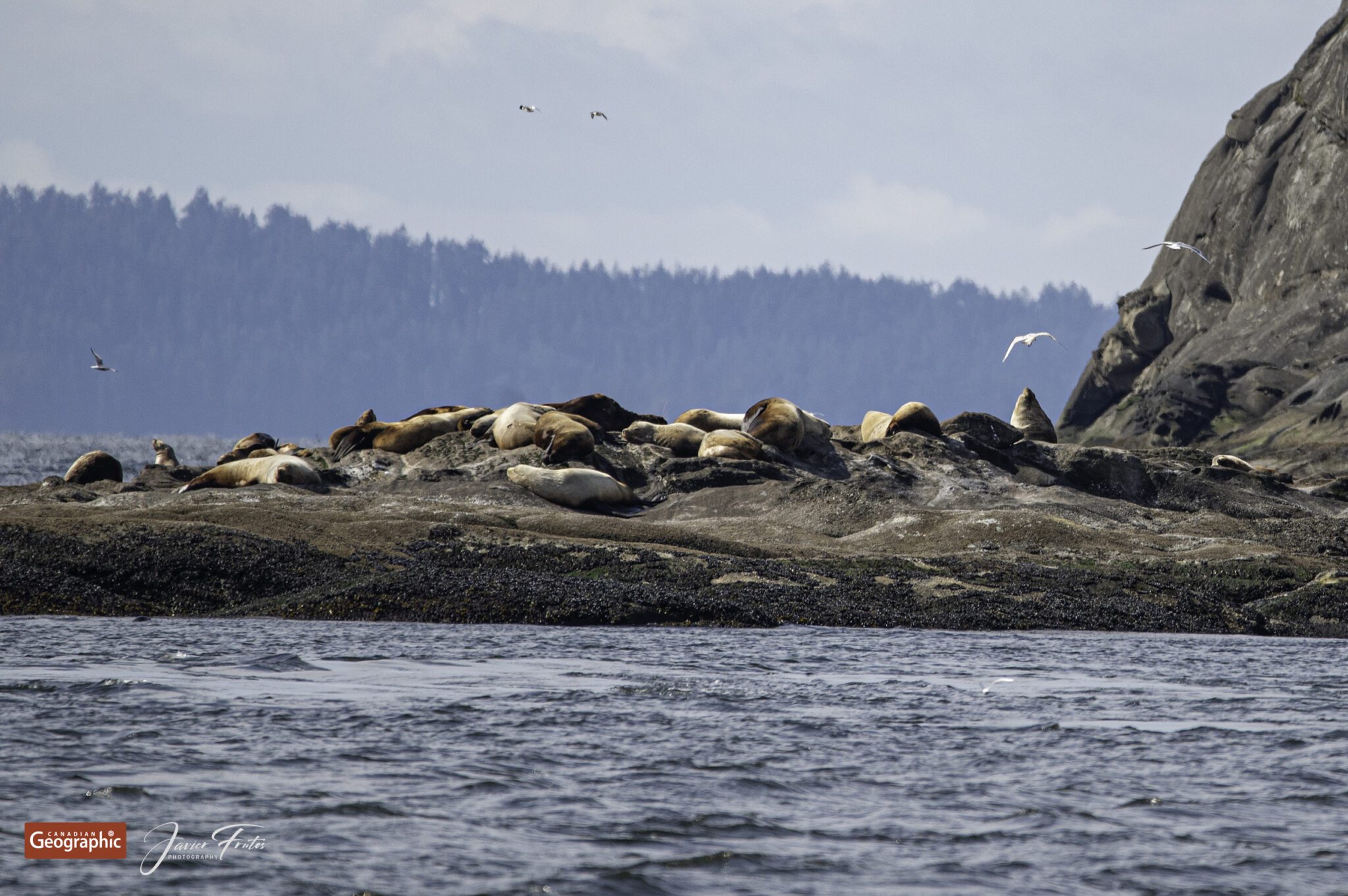 Spring Incentives to Explore the Wild BC Coast.