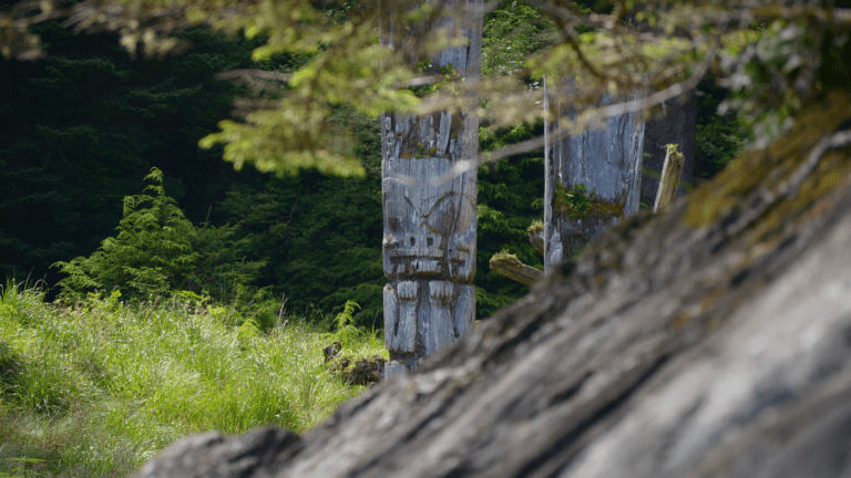 Haida Gwaii Tours | Maple Leaf Adventures