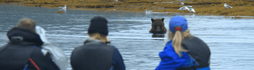 Expedition Cruises in Alaska and BC | Maple Leaf Adventures