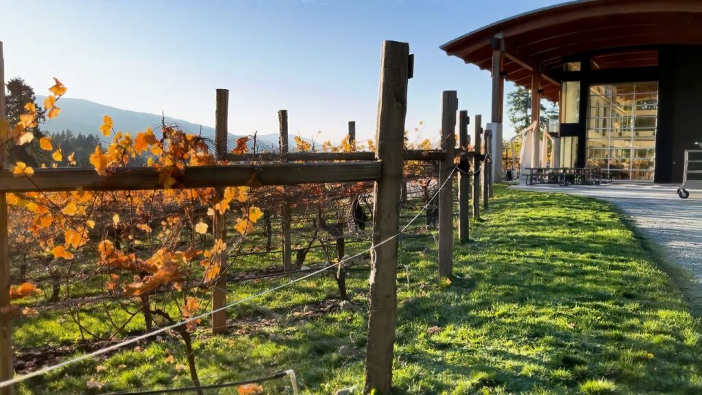 Six Must-Try Wineries in British Columbia: Explore Them All on a Wine ...