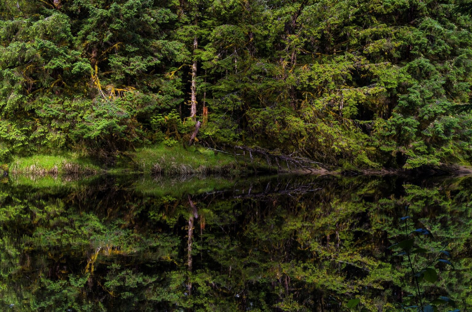 The Call of Haida Gwaii: A Journey Through Story, Landscape, and ...
