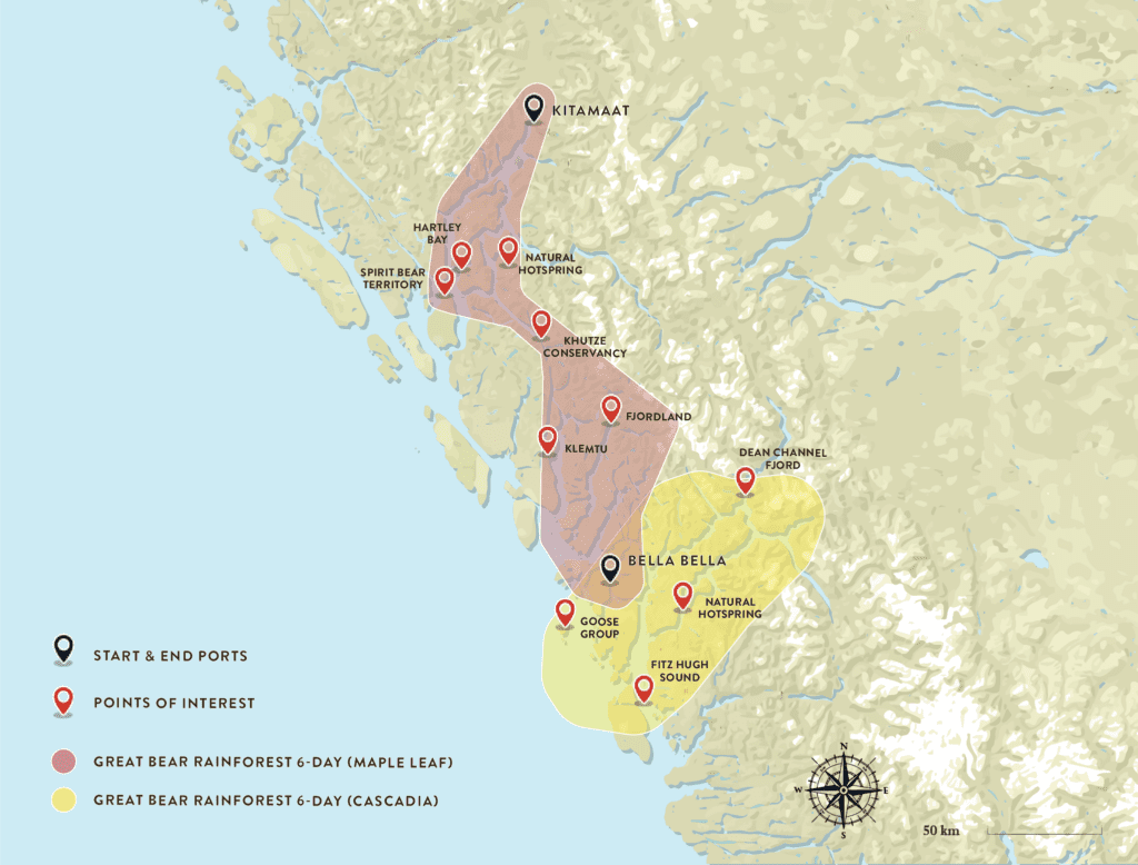 New Ways to Explore the Great Bear Rainforest in 2026 | Great Bear ...