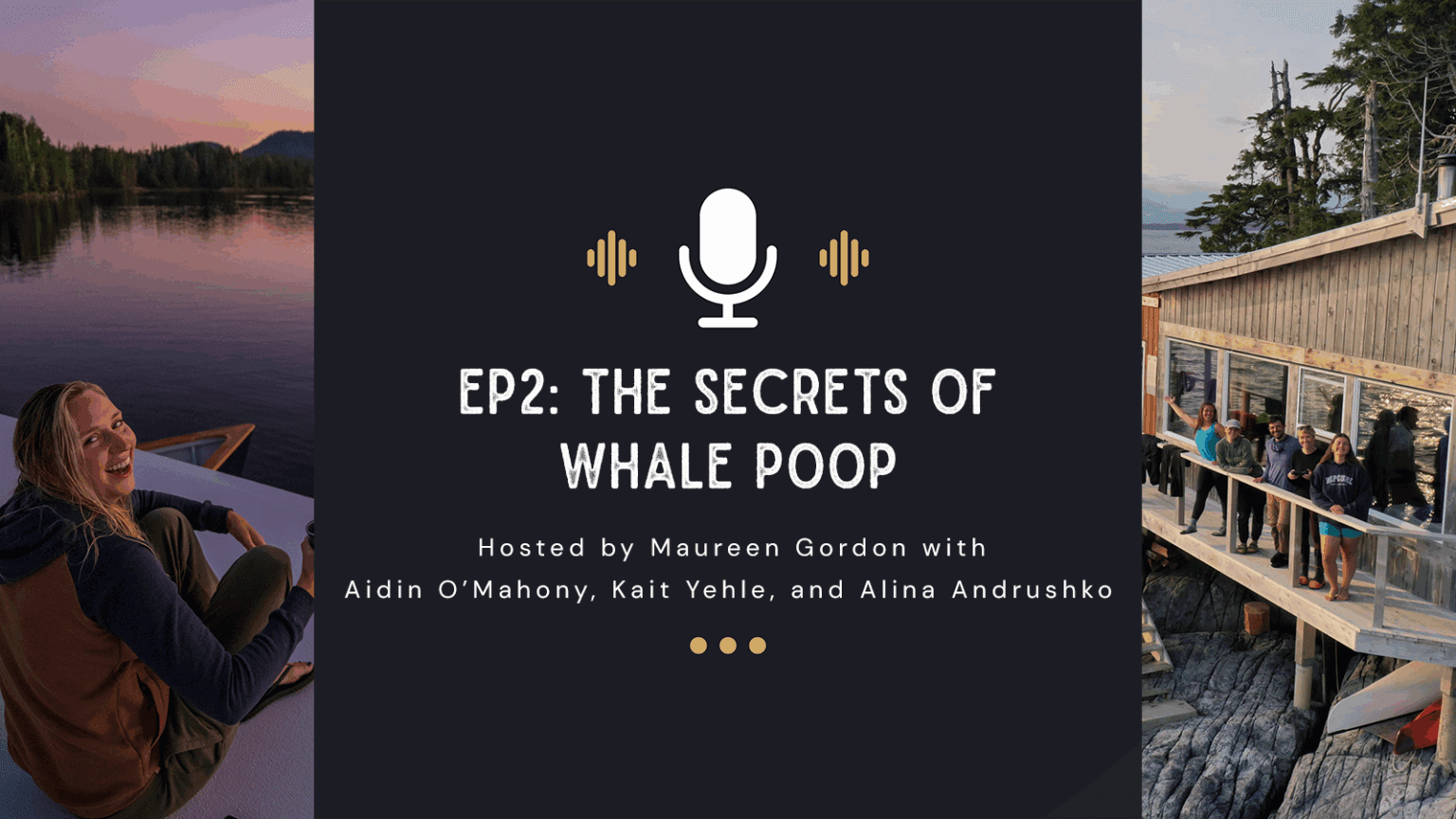 Charted Waters: The Secrets of Whale Poop | Conservation, Stories ...